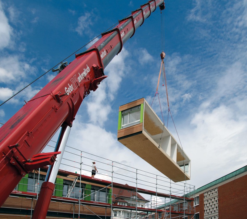 OSB-Platten im Großformat - dach+holzbau