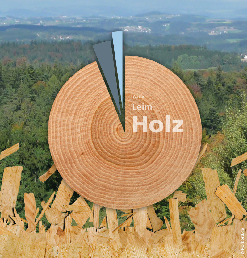 OSB-Plattentypen und Einsatzbereiche - dach+holzbau