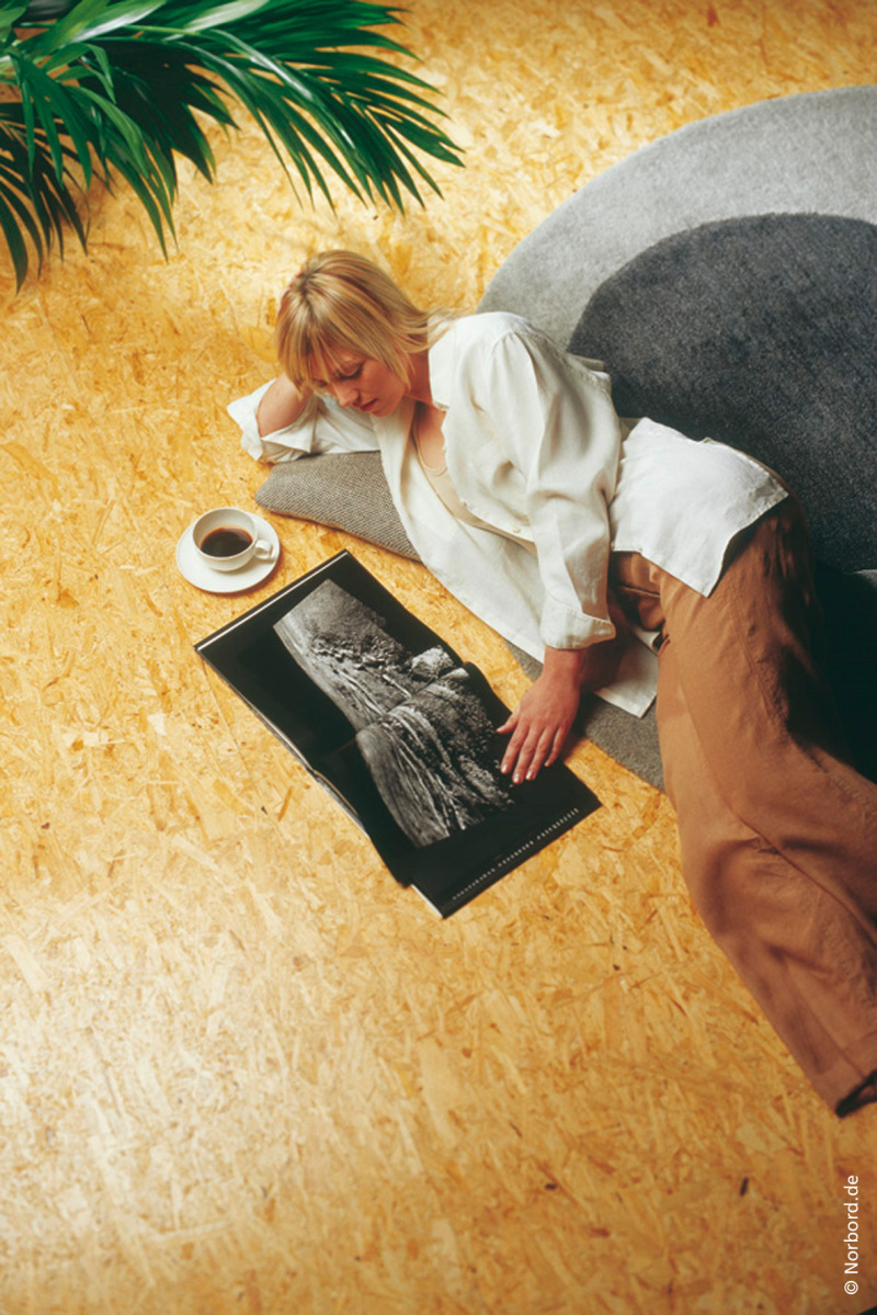 OSB-Plattentypen und Einsatzbereiche - dach+holzbau