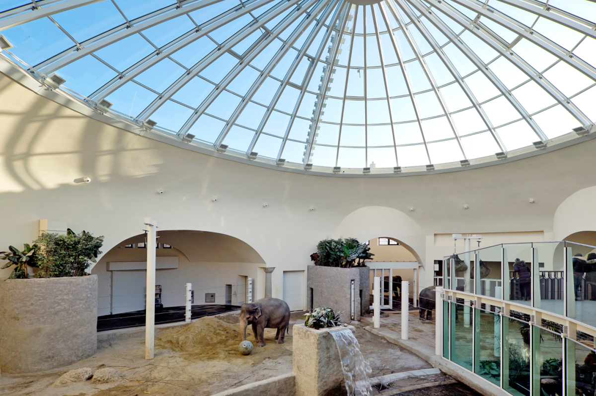 What is the best enclosure for Asian elephants in Germany? - ZooChat