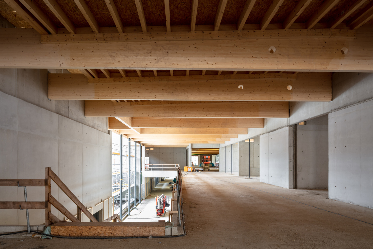 Holzbau in neuen Dimensionen - dach+holzbau