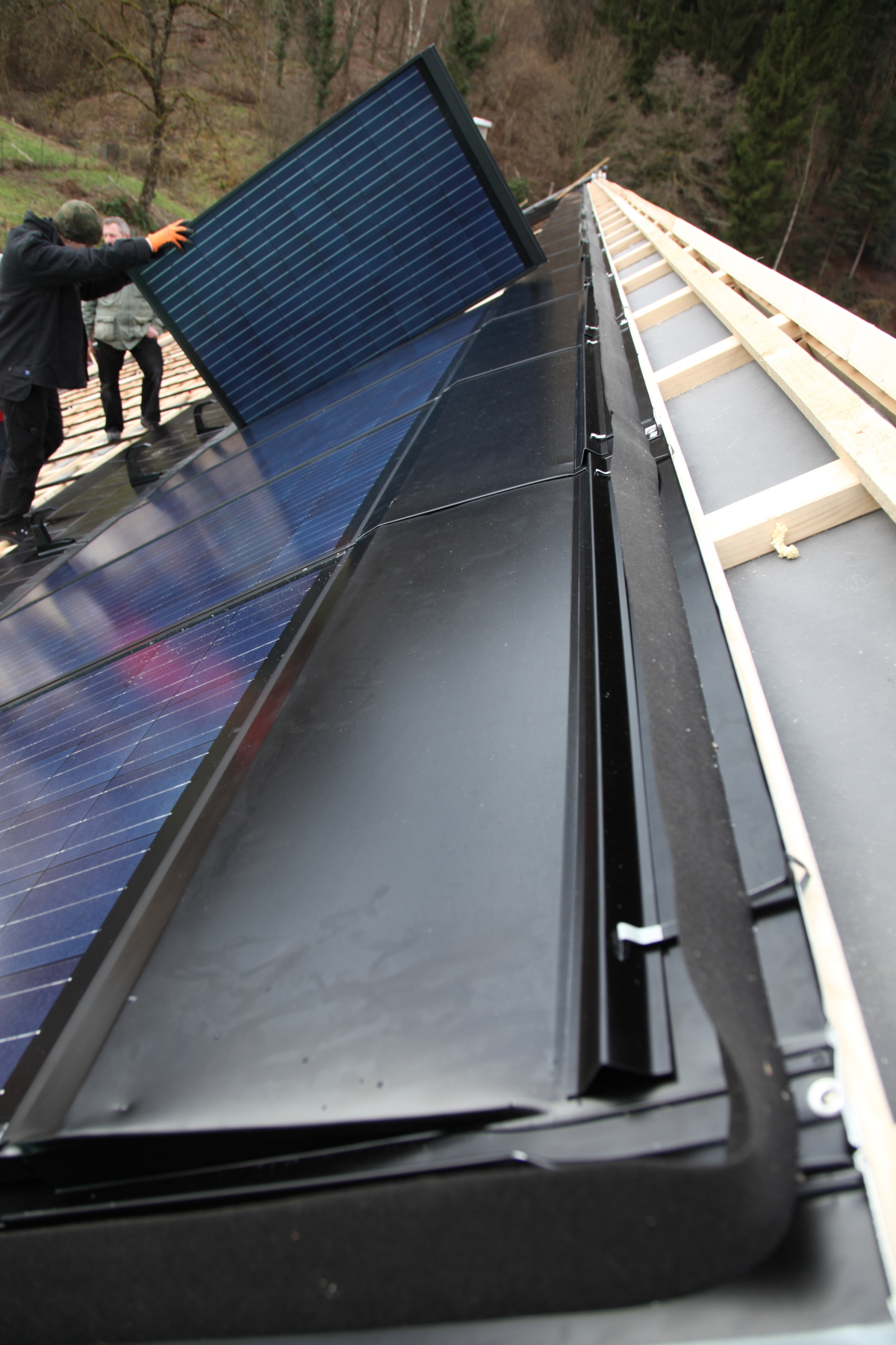 Dachintegrierte Photovoltaiksysteme - dach+holzbau