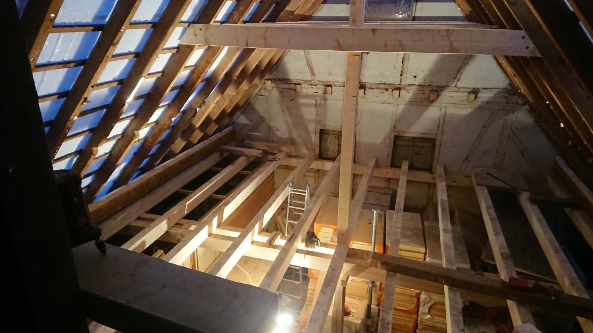 Wohnung und Showroom in einem - dach+holzbau