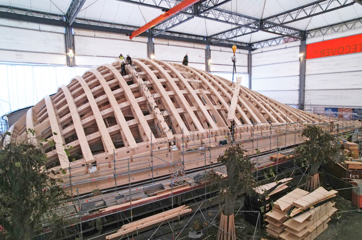 Freiformdach setzt neue Maßstäbe - dach+holzbau