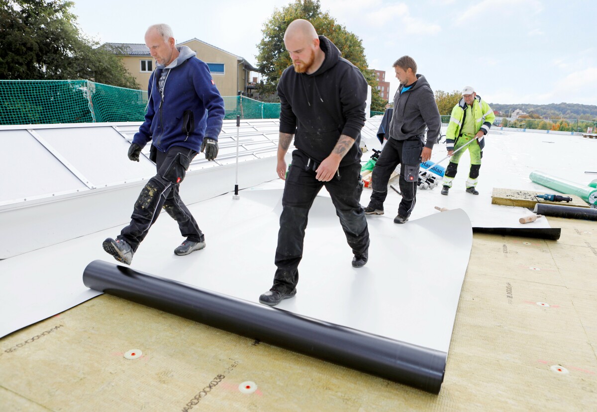 Sicherer Halt für neuen Dachaufbau - dach+holzbau
