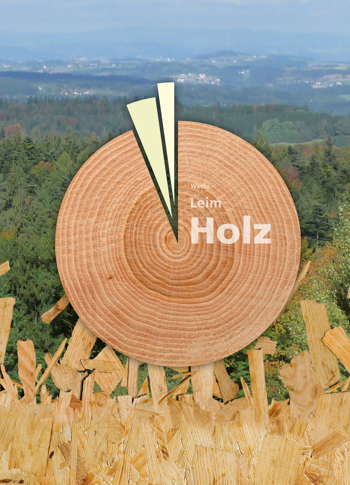 OSB im Flachdach – robust und multifunktional - dach+holzbau