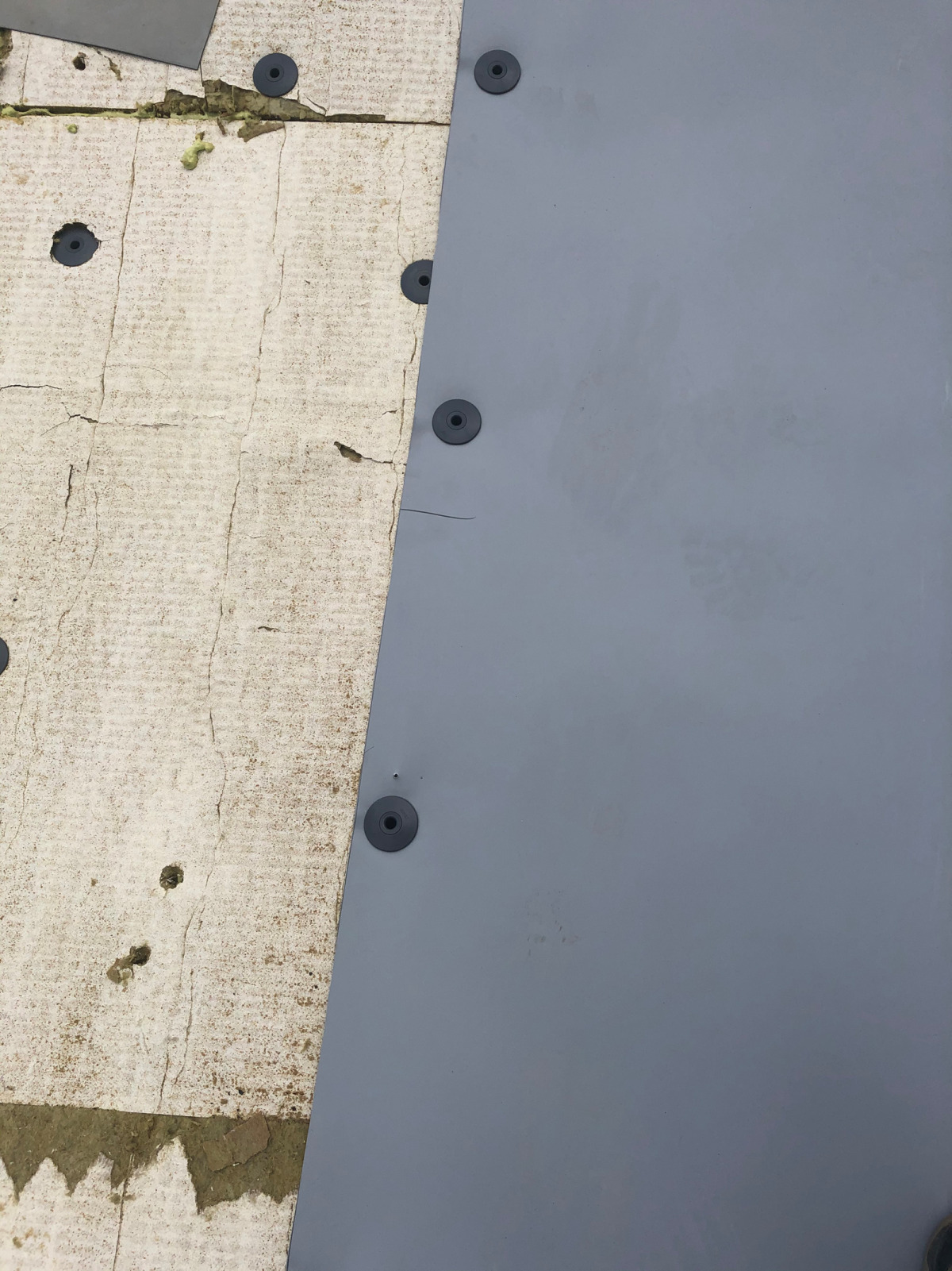 Anspruchsvolle Dachkonstruktion - dach+holzbau