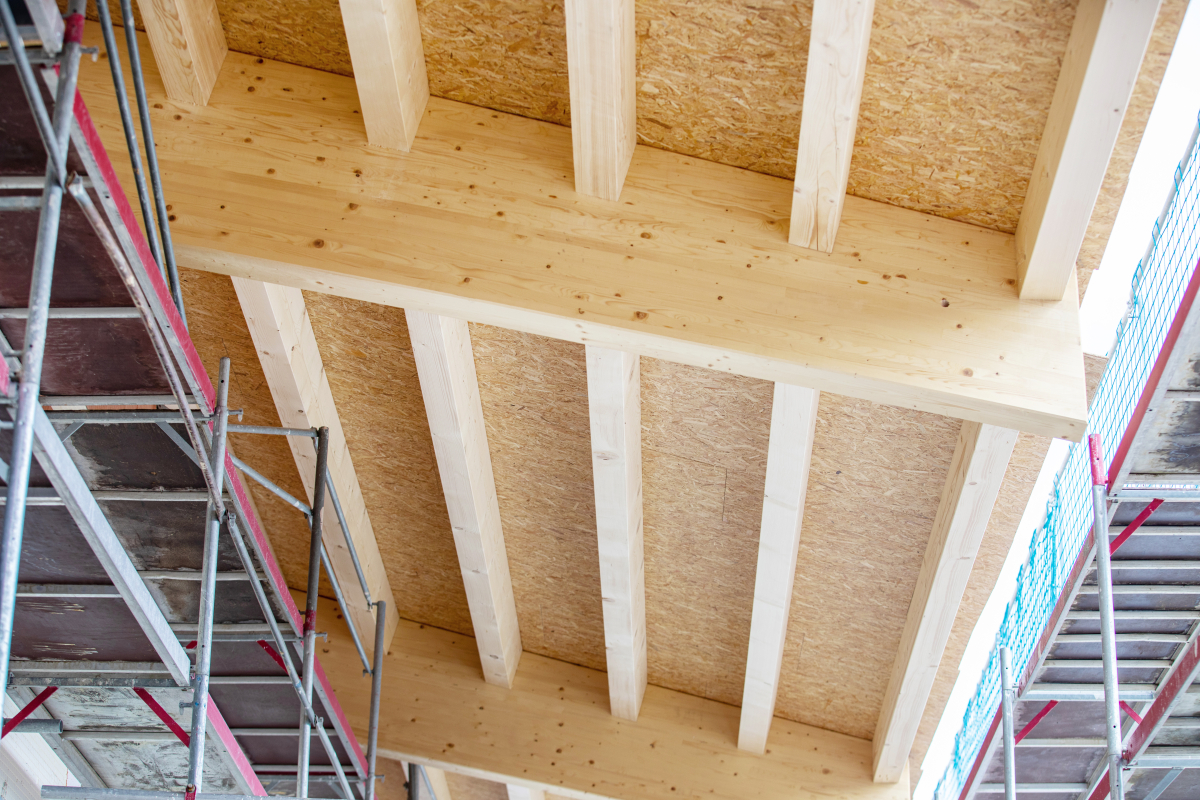Neuer Dachstuhl für eine Lagerhalle - dach+holzbau