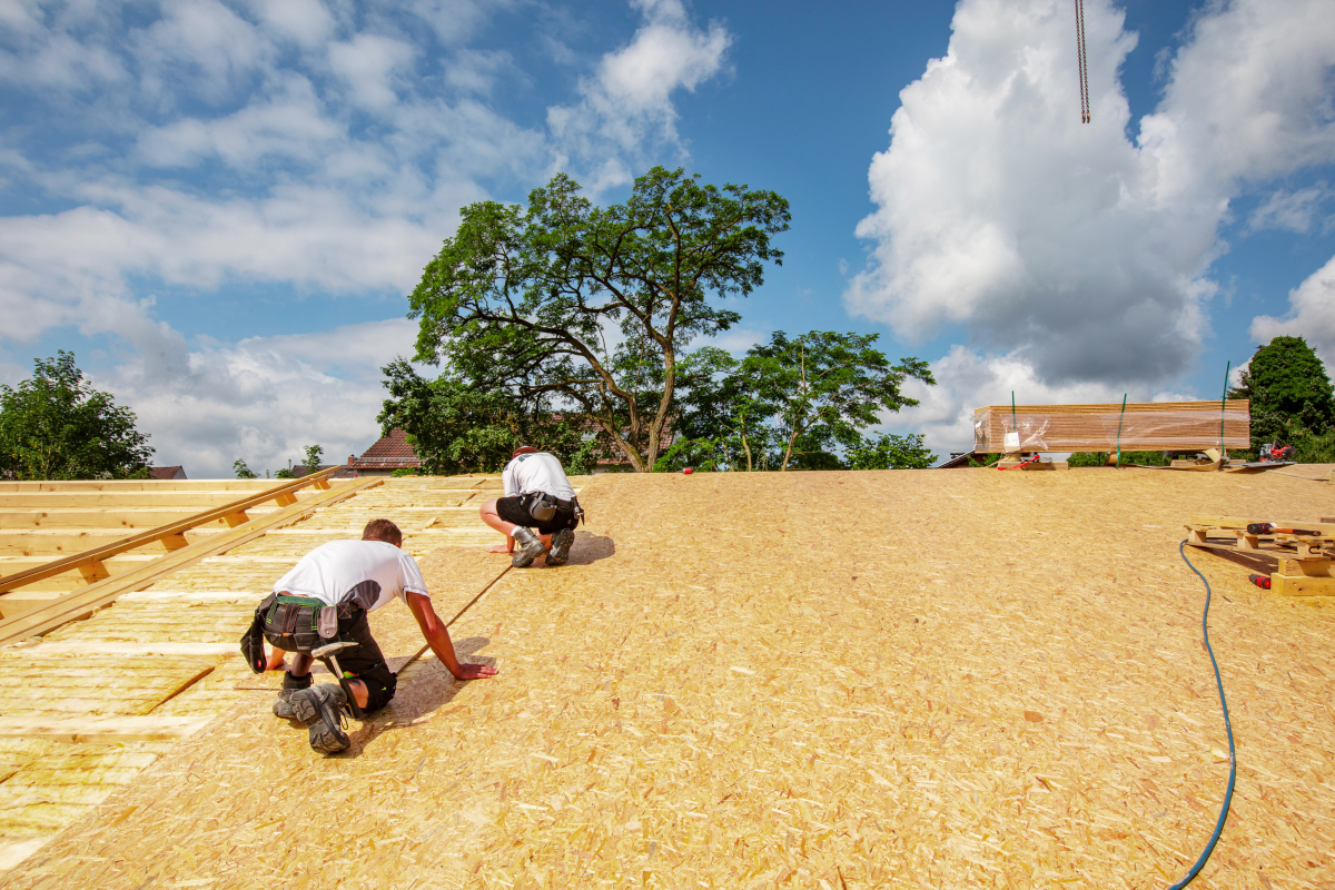 Neuer Dachstuhl für eine Lagerhalle - dach+holzbau