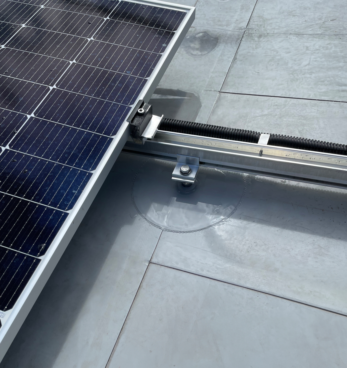 Neue Befestigungssysteme für das Flachdach - dach+holzbau