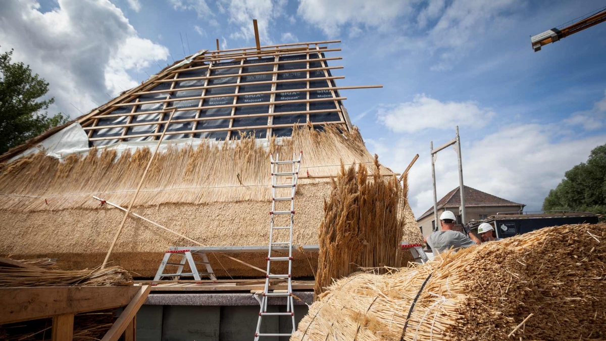 Pyramidenartiges Reetdach in Berlin - dach+holzbau