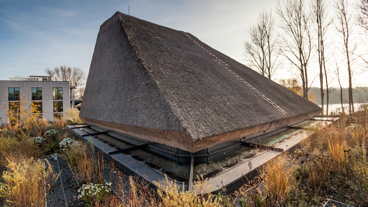 Pyramidenartiges Reetdach in Berlin - dach+holzbau
