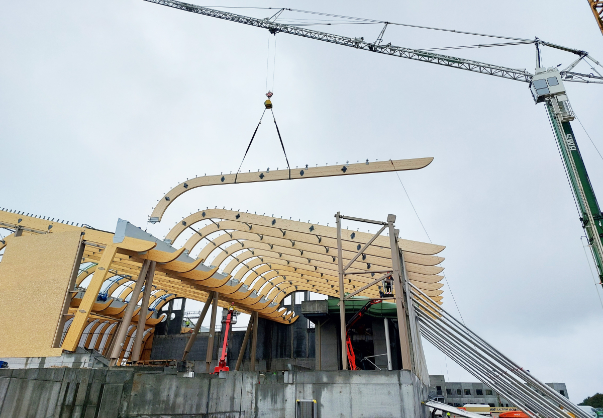 Wellenförmiges Dach aus Holz - dach+holzbau