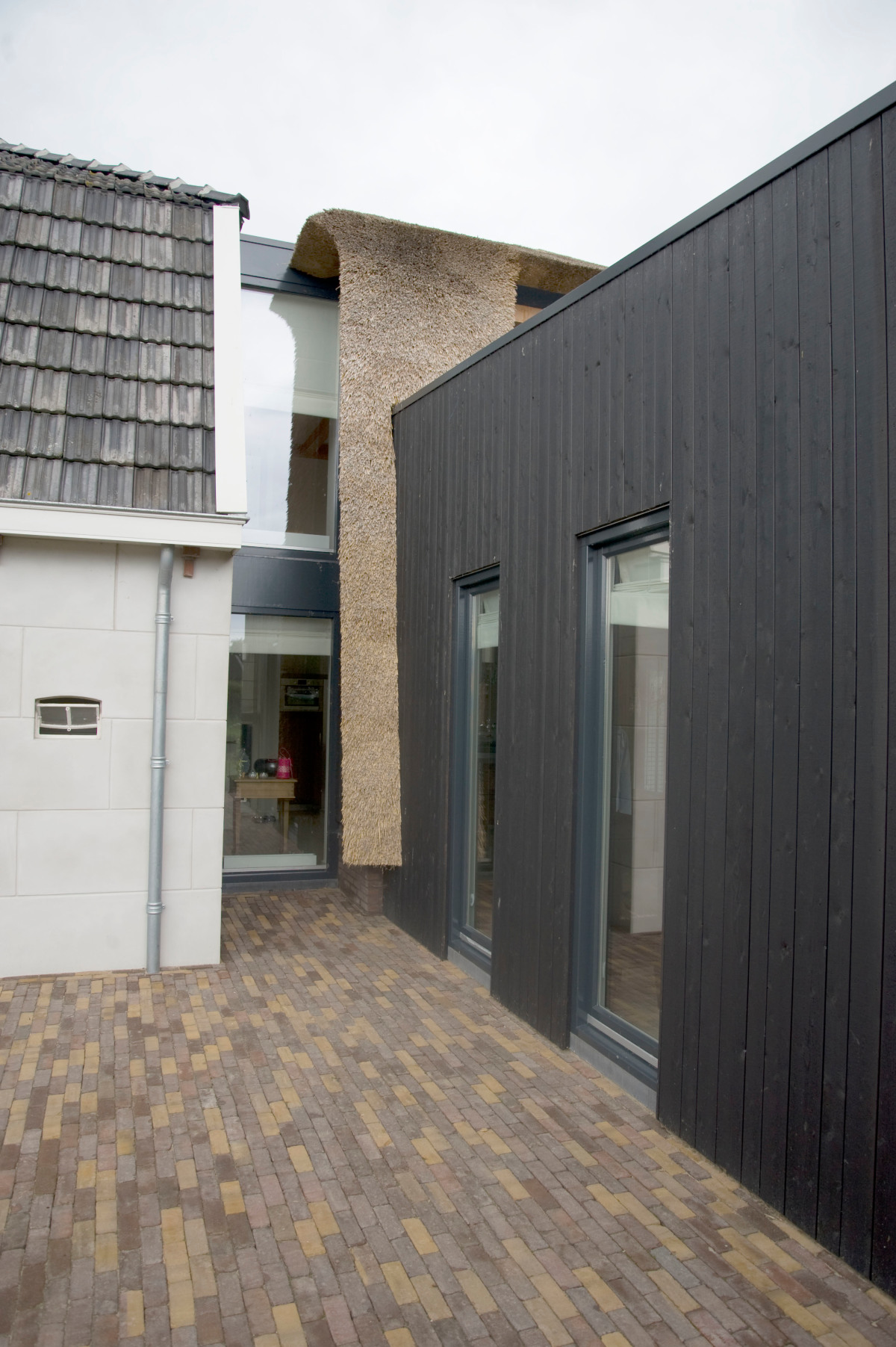 Reet für das Dach und die Fassade - dach+holzbau