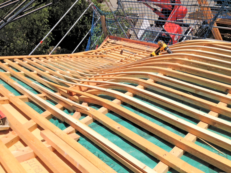 Biber machen die Welle - dach+holzbau