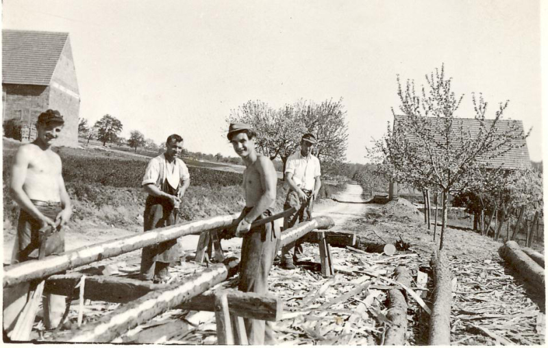 Spezialist statt Preiskampf - dach+holzbau